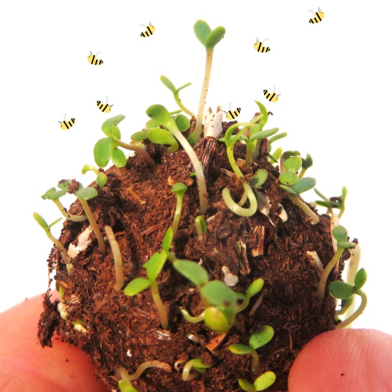 Sustainable Promotional Products UK - Low-Cost Eco-friendly.